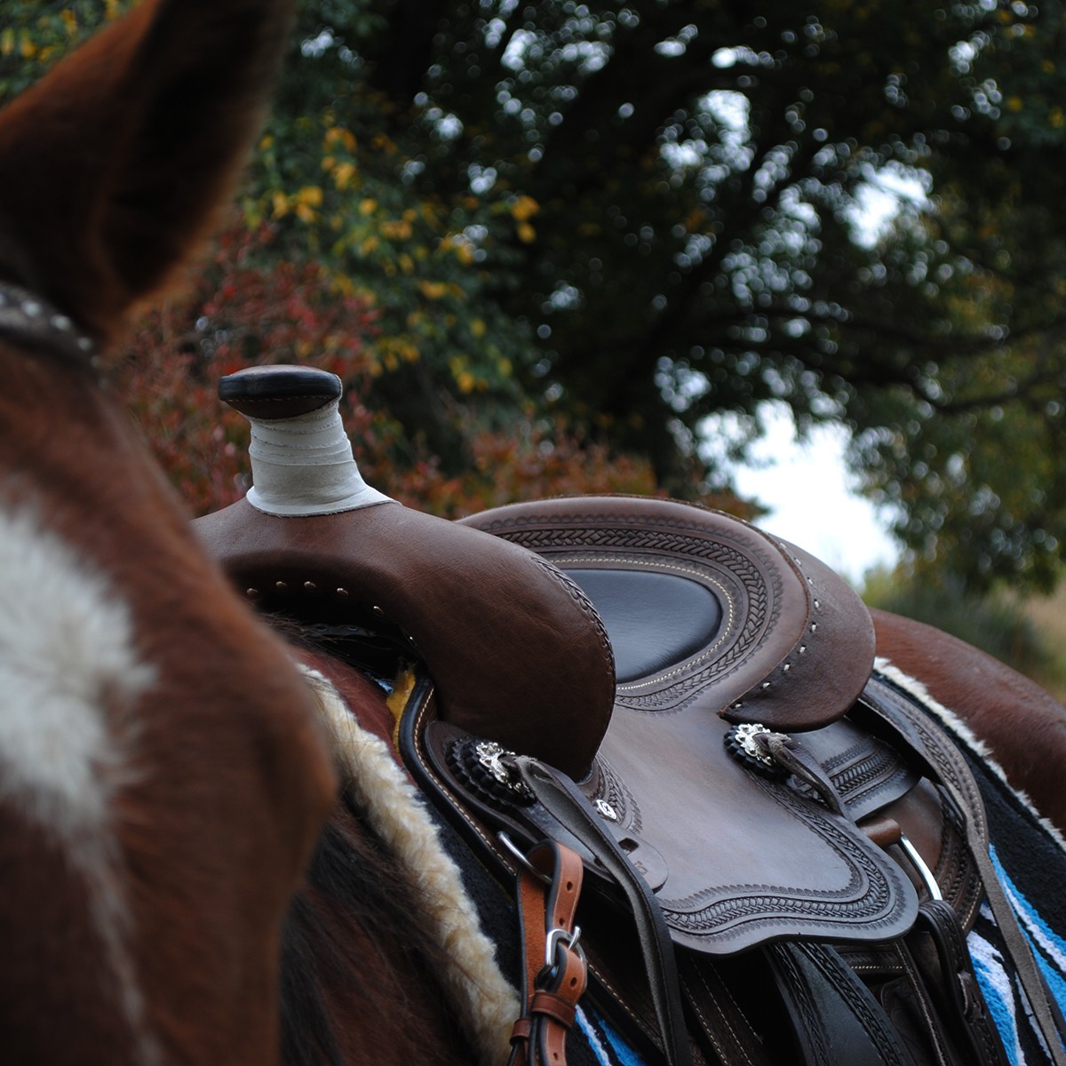Western Saddle – The Ford Worth 16″ | Trailsaddles